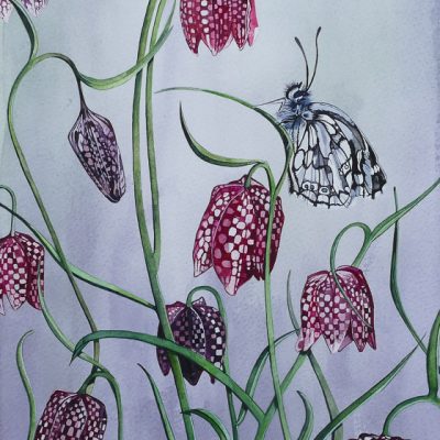 Meet Artist Sam Cannon | Earth Balance Craft