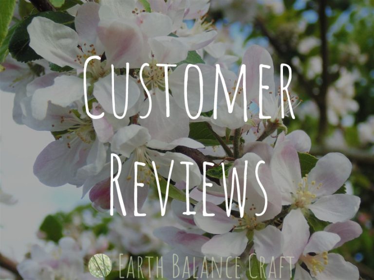 Craft Reviews | Earth Balance Craft